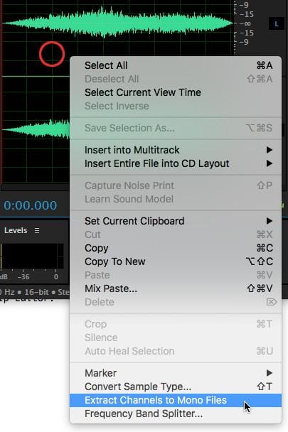 How To Copy Left Channel To Right Channel In Adobe Audition Hollyland