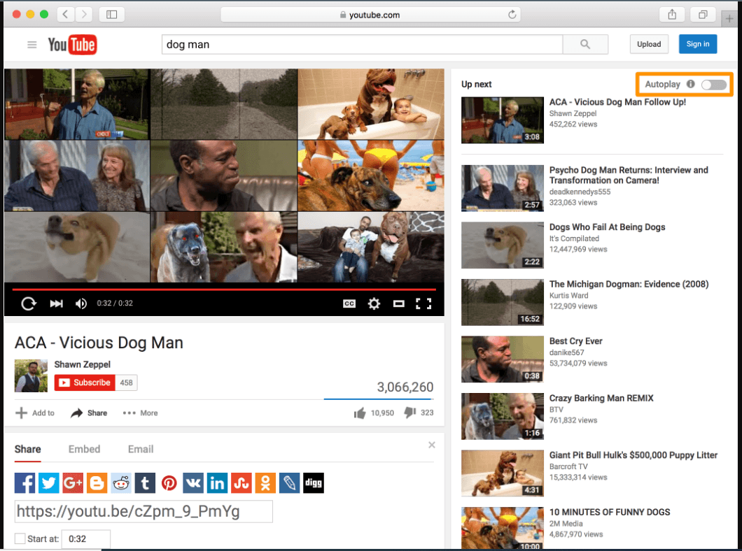 YouTube Autoplay Can’t Stop Playing: Here Is How to Fix It - Hollyland