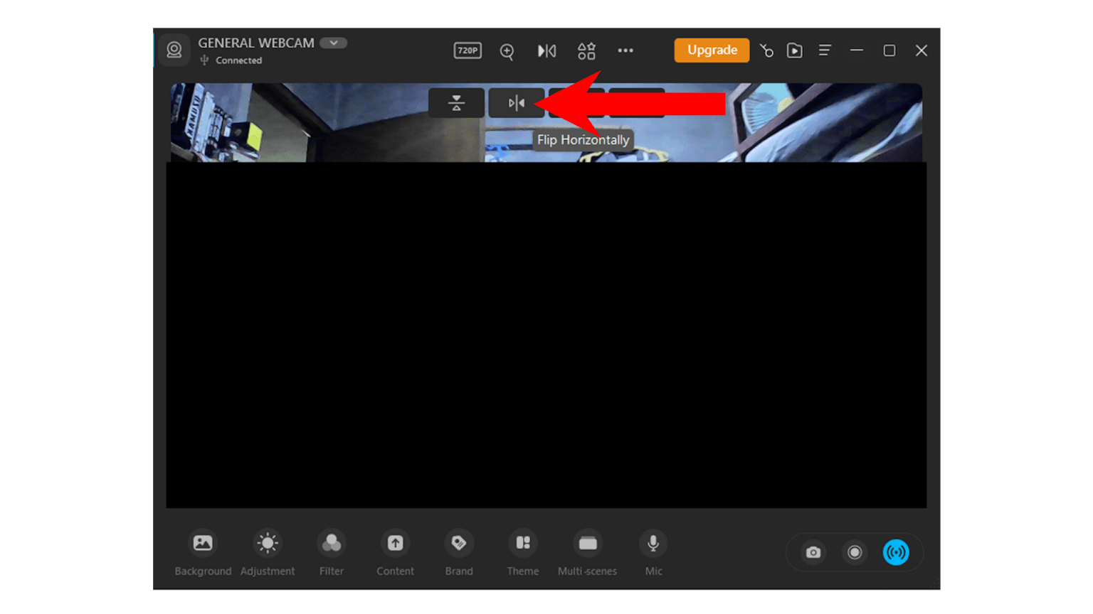 2 Ways to Flip Camera On Discord - Hollyland