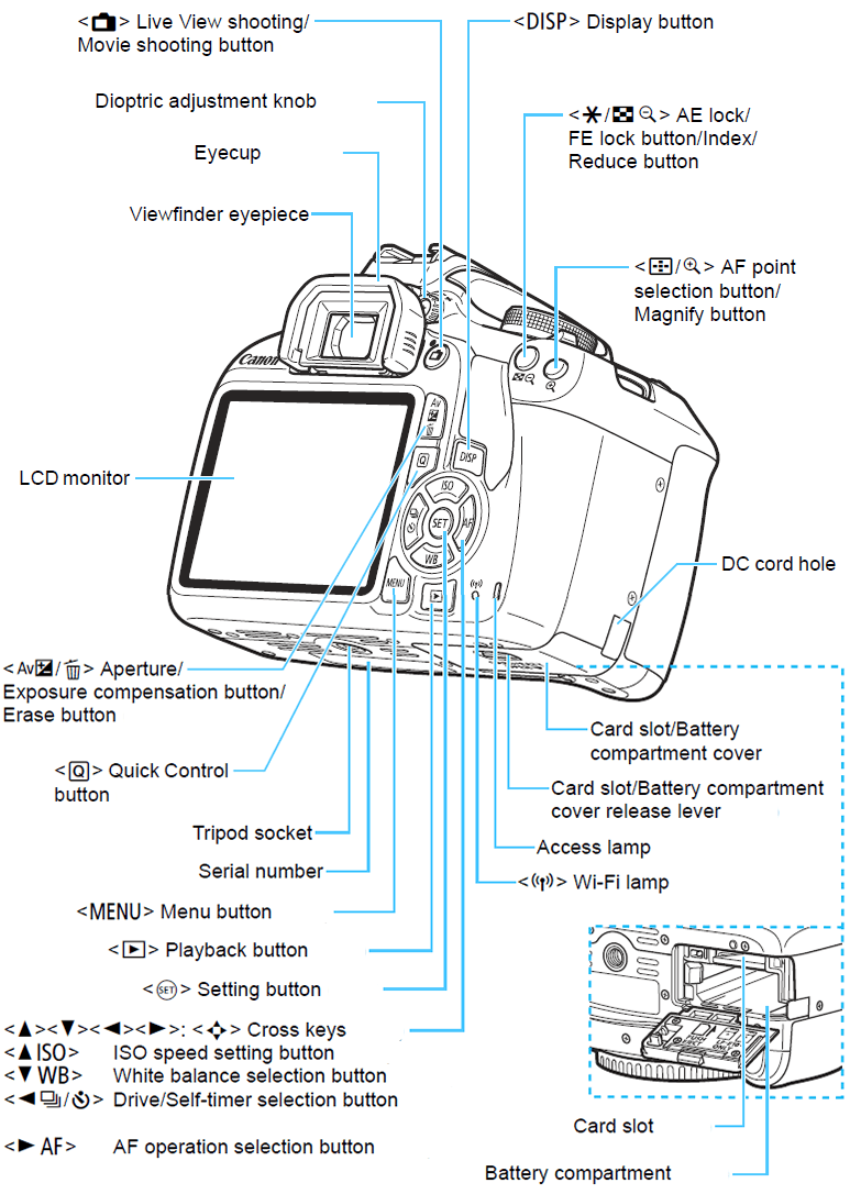 Ultimate Guide to Use the Canon Rebel T7 - Hollyland