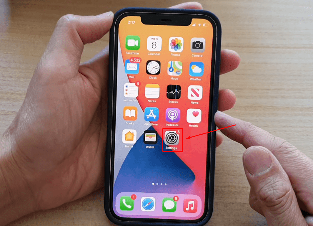Master Microphone Settings for iPhone - Hollyland