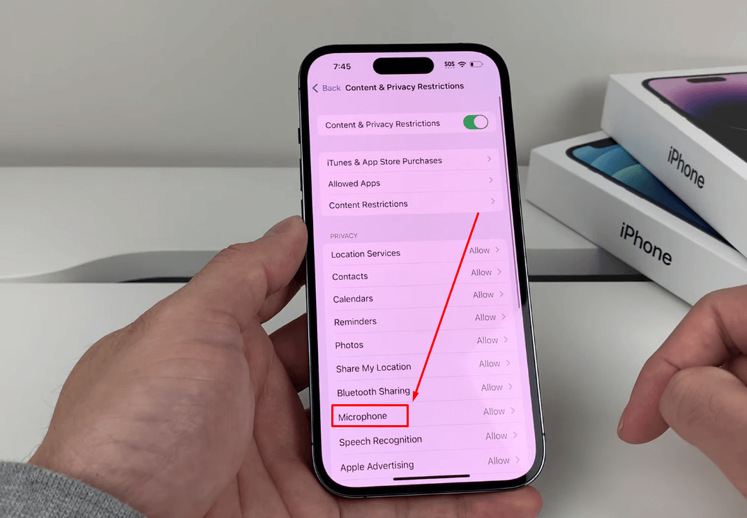Master Microphone Settings for iPhone - Hollyland