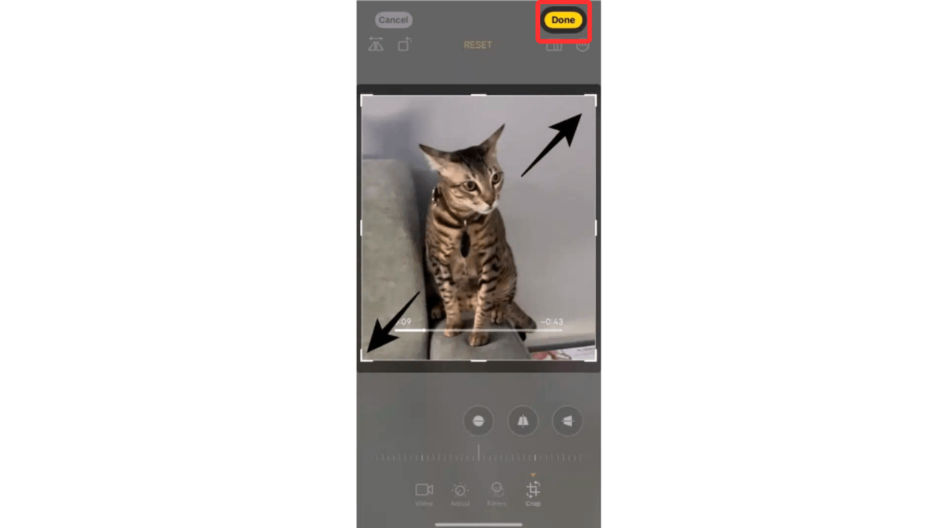 How to Zoom Out on a Picture Already Taken? - Quick Guide - Hollyland